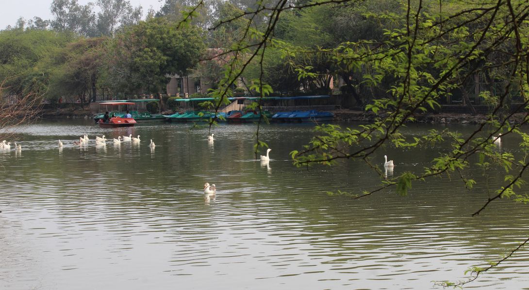 Sanjay Lake (East Delhi) - Delhi
